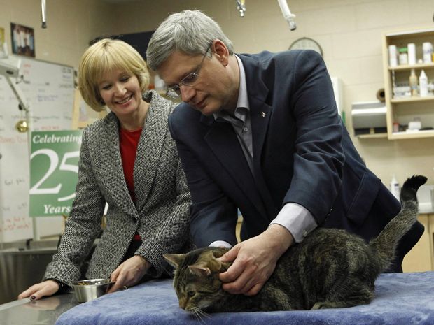 Stephen Harper Cat Stanley