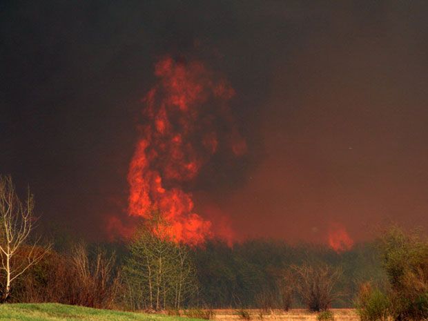 Q&A with the Mayor of Slave Lake: her 'resilient' town will rebuild ...