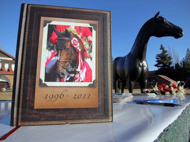 Last thing Hickstead did before dying was check I was OK: Gold-medalist ...