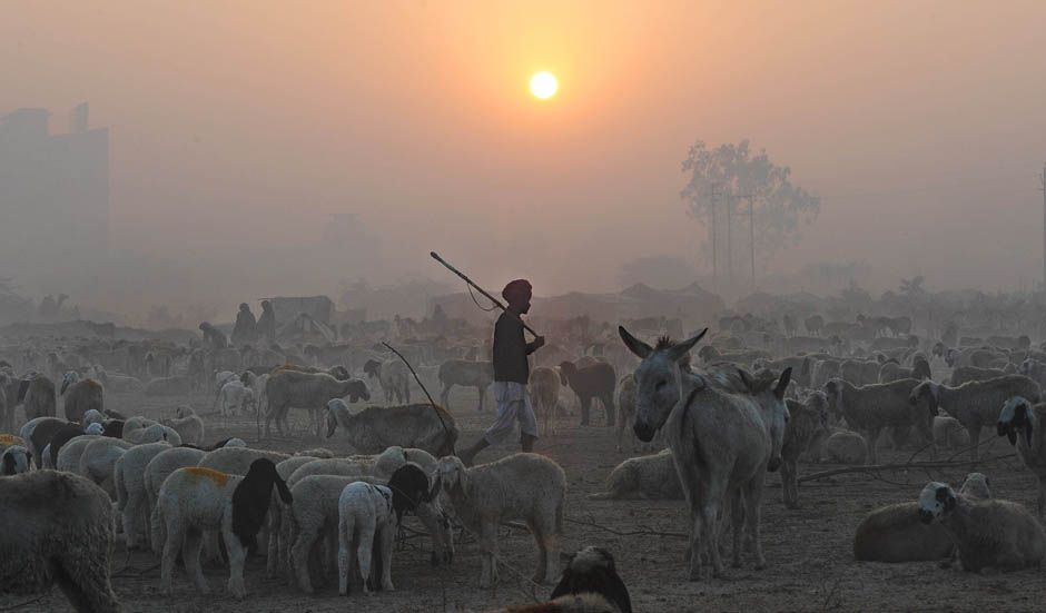 Photos of the Day, Dec. 15, 2011 | National Post