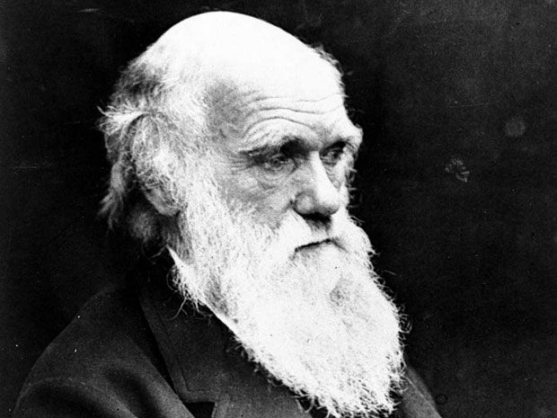 Scientists reveal favourite ‘deep, elegant or beautiful’ scientific ...