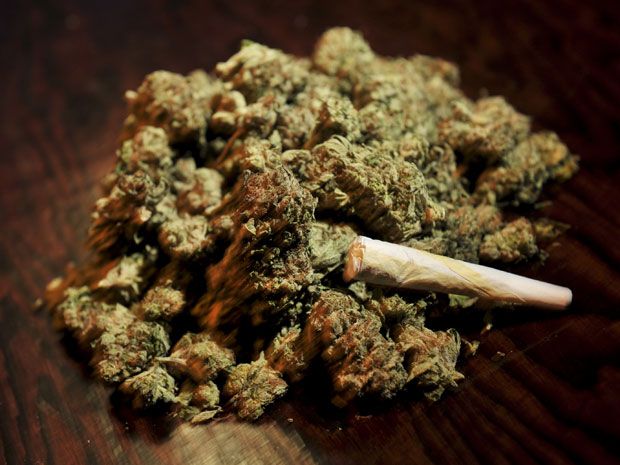 Majority of Canadians support legalizing or decriminalizing marijuana ... Majority of Canadians support legalizing or decriminalizing marijuana ...