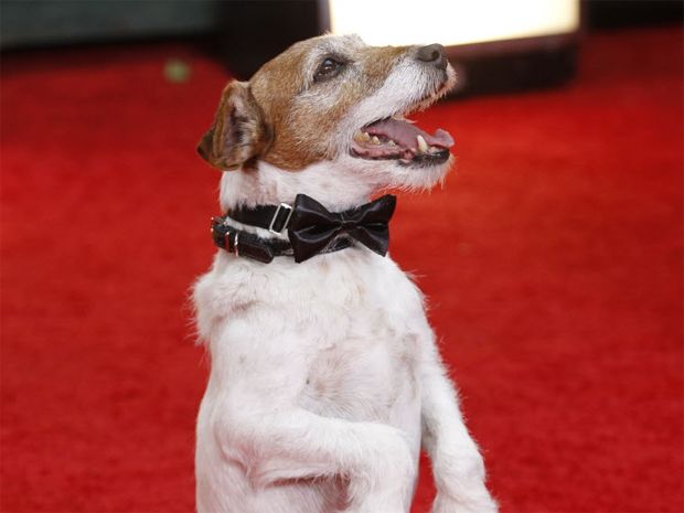 The Artist's canine star, Uggie, will attend the White House ...