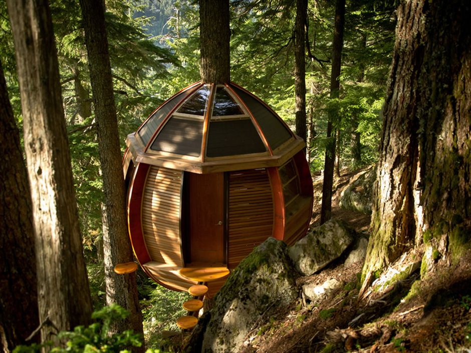 Whistler Tree House: The best-kept secret fort in B.C. | National Post