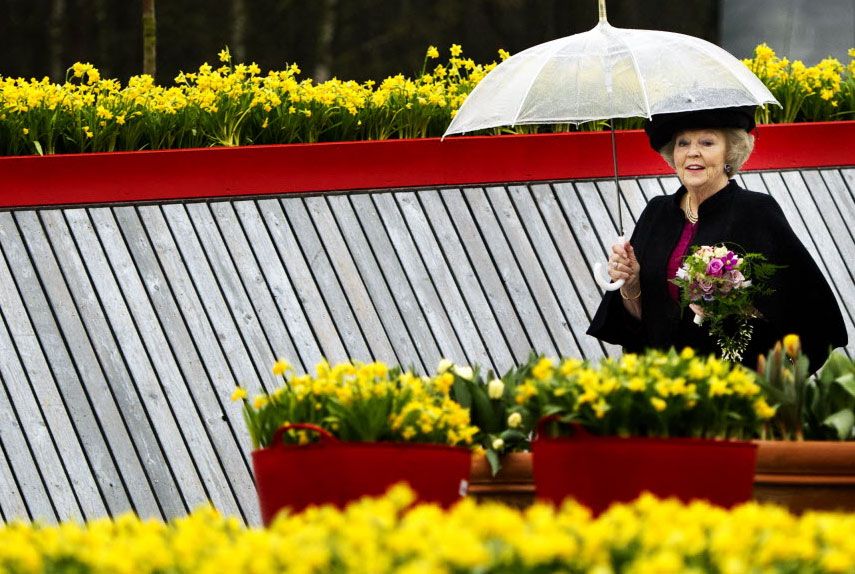 Things that go bloom in the Netherlands | National Post