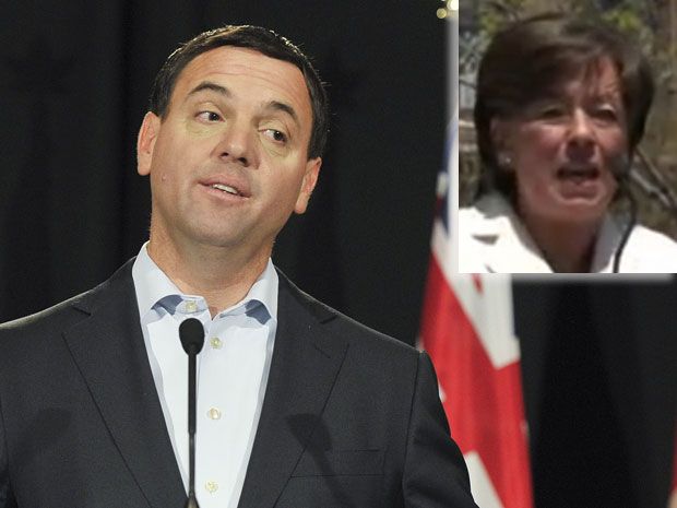 Elizabeth Witmer resignation throws wrench in Tim Hudak's ‘sideline ...