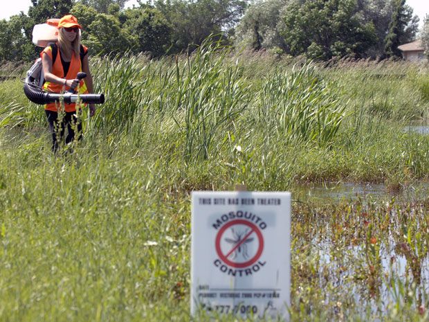 Winnipeg is bracing for an early mosquito invasion | National Post