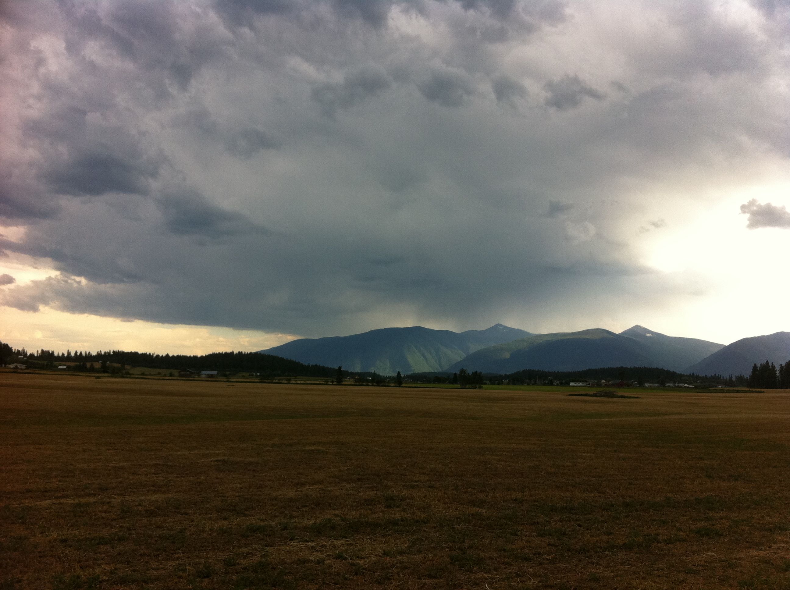 Deryn Collier: Where the story starts | National Post