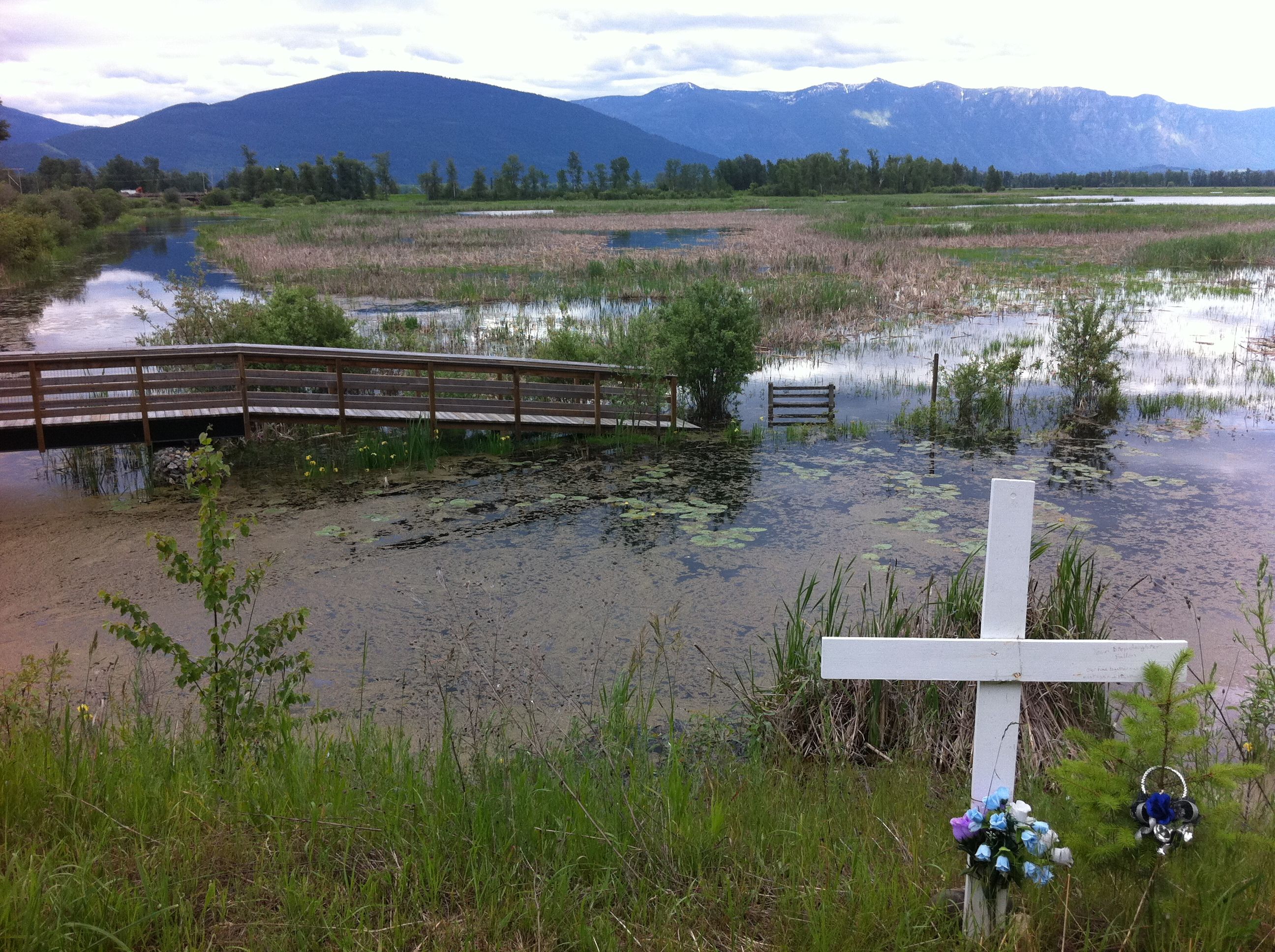 Deryn Collier: The dead guy | National Post