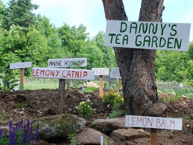 On the Homestead: Tea garden for friend in need | National Post