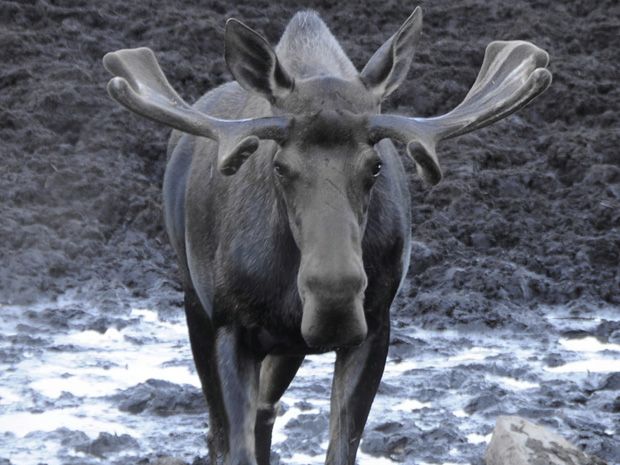 Manitoba school board investigating after students allege they were ...