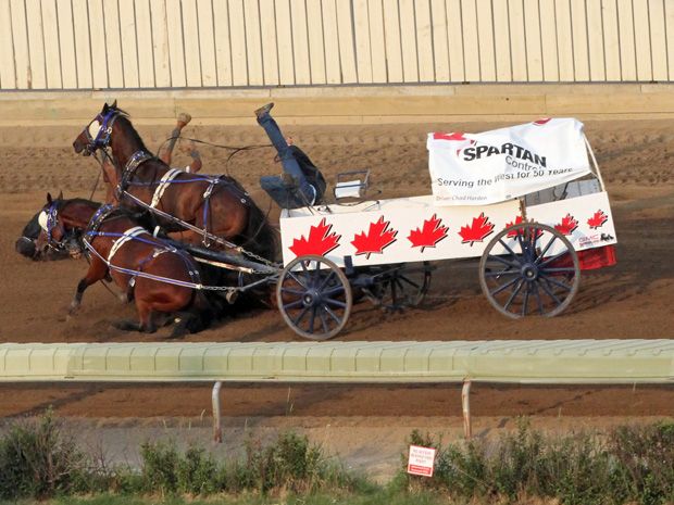 Calgary Stampede chuckwagon crash kills three horses | National Post