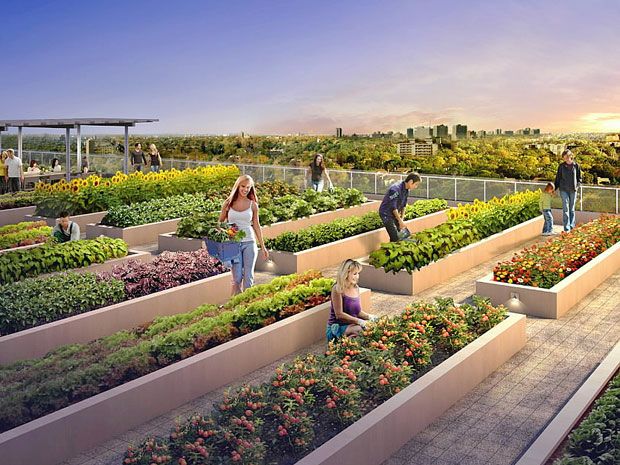 For Sale: One Park Place Condominiums | National Post