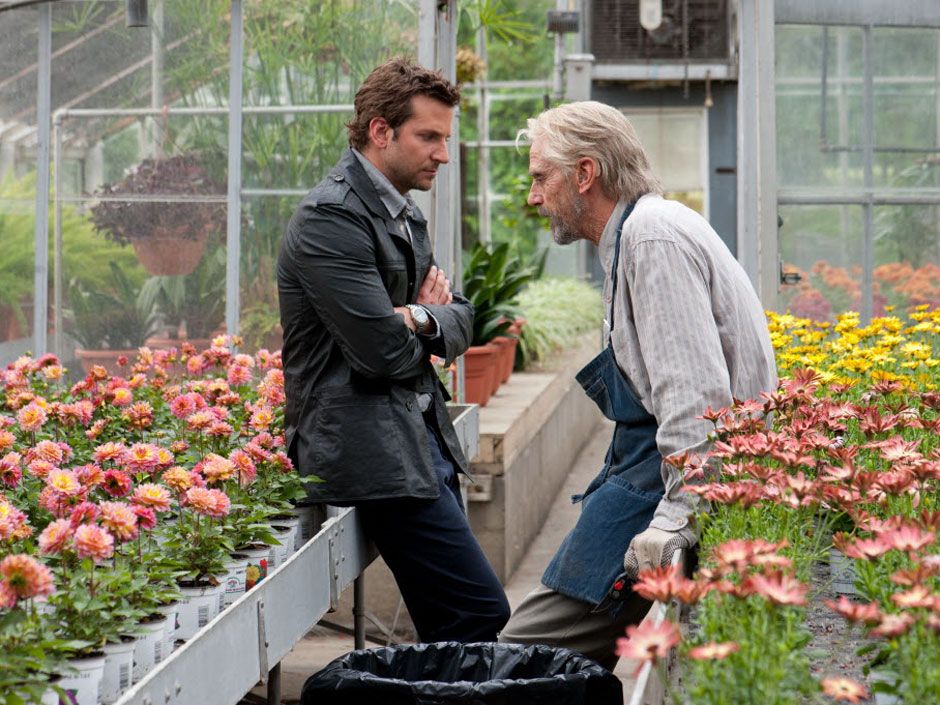 Film Review: The Words (2.5 stars) | National Post