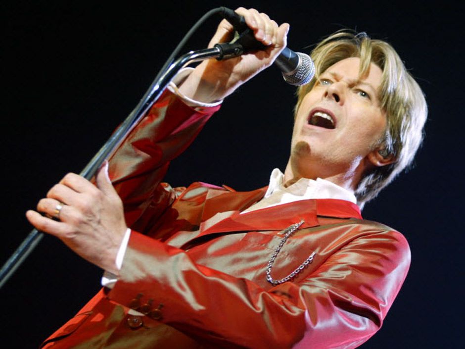 Meet Oscar, the U.K.'s bionic cat | National Post