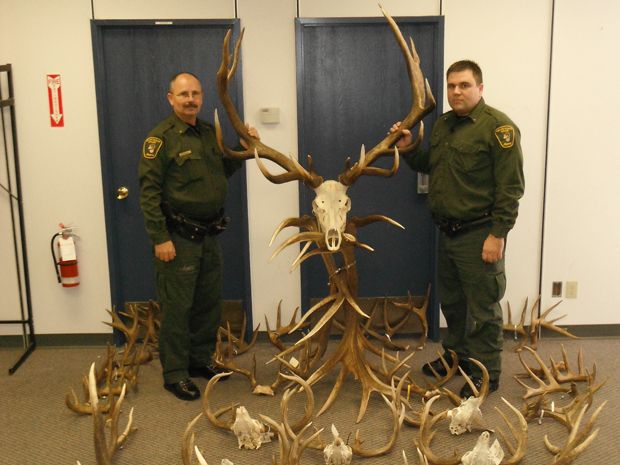 Poachers' trail of trophy photos on social media the latest tool ...