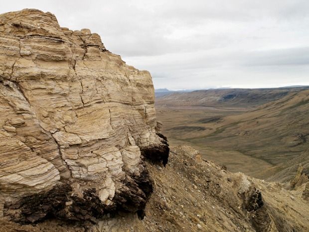 Giant ancient camel remains discovered in Canadian Arctic | National Post