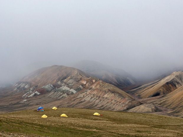 Giant ancient camel remains discovered in Canadian Arctic | National Post
