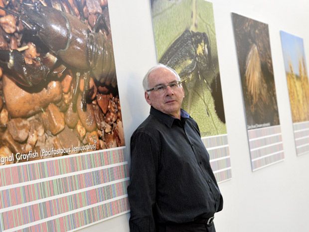 International Barcode of Life project aimed at creating DNA database ...