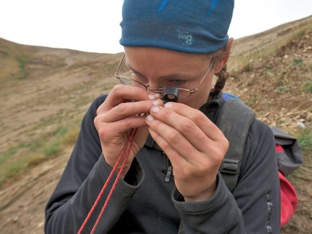 Giant ancient camel remains discovered in Canadian Arctic | National Post