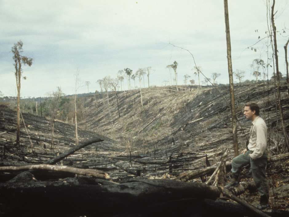 Spend Earth Day at the movies with A Fierce Green Fire | National Post