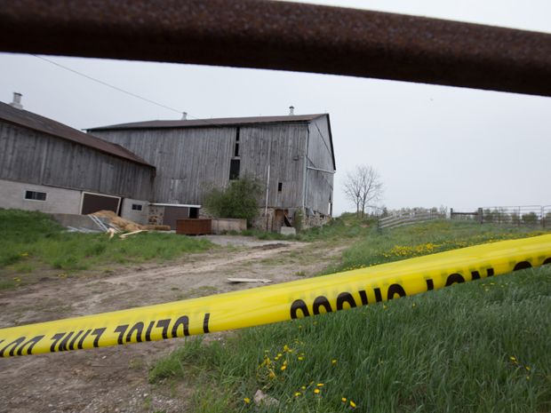 Dellen Millard farm: More remains found on Bosma's suspect land, report ...