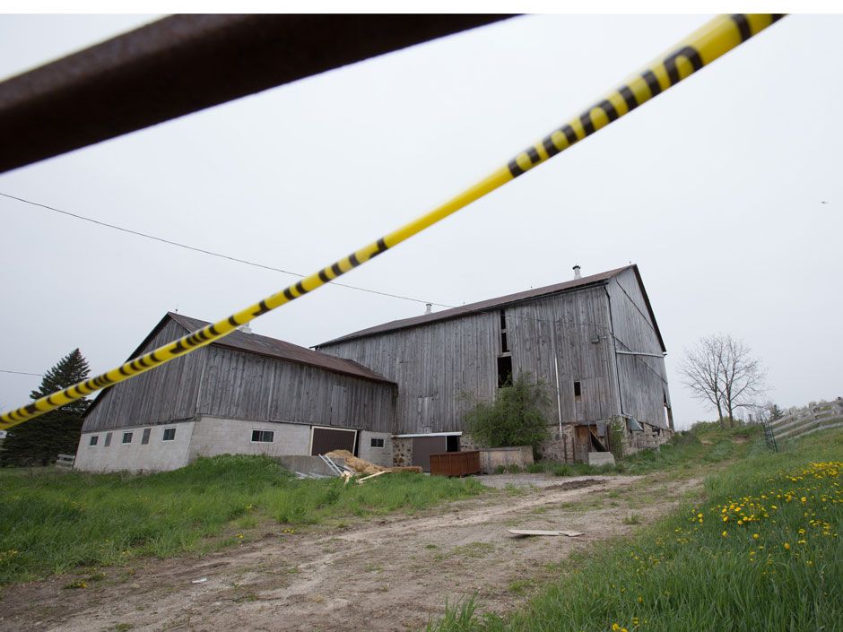 Police return to Tim Bosma murder suspect Dellen Millard's farm after ...
