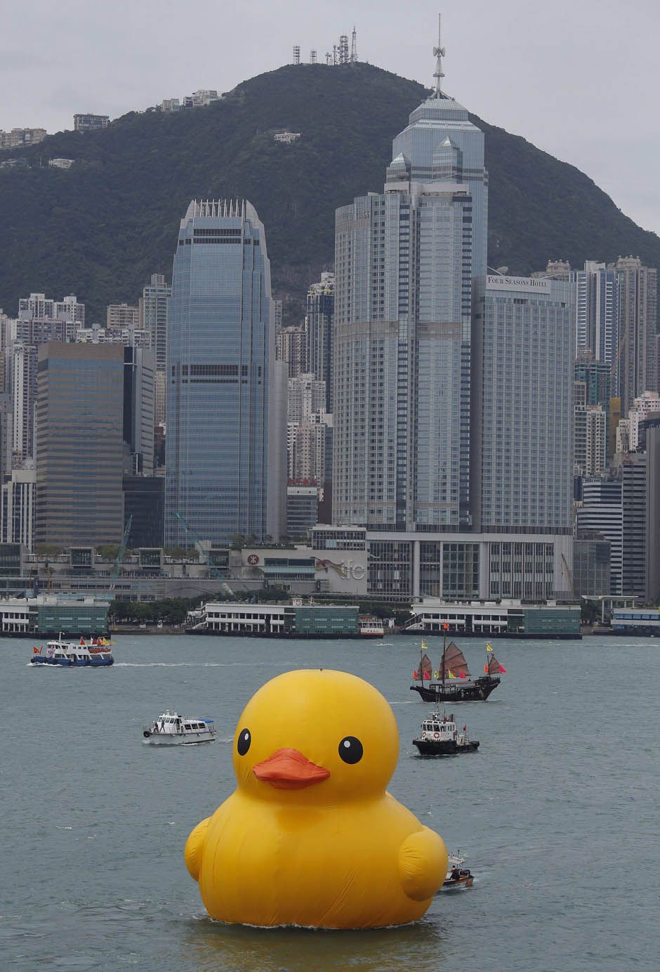 Giant rubber duck visits Hong Kong harbour | National Post