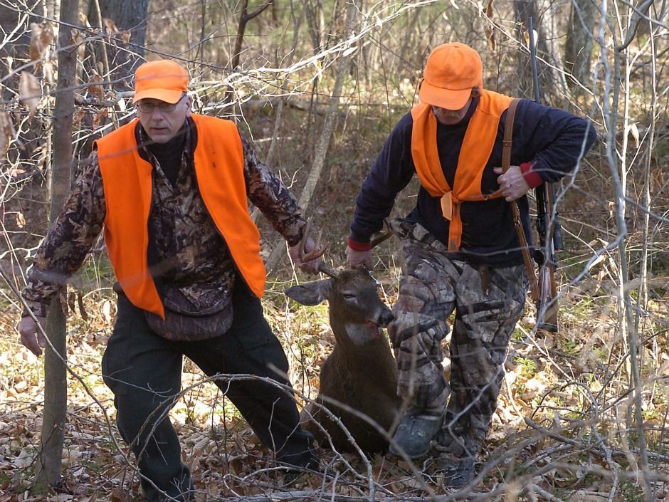 Hunting trends offer insight on curbing gun violence | National Post
