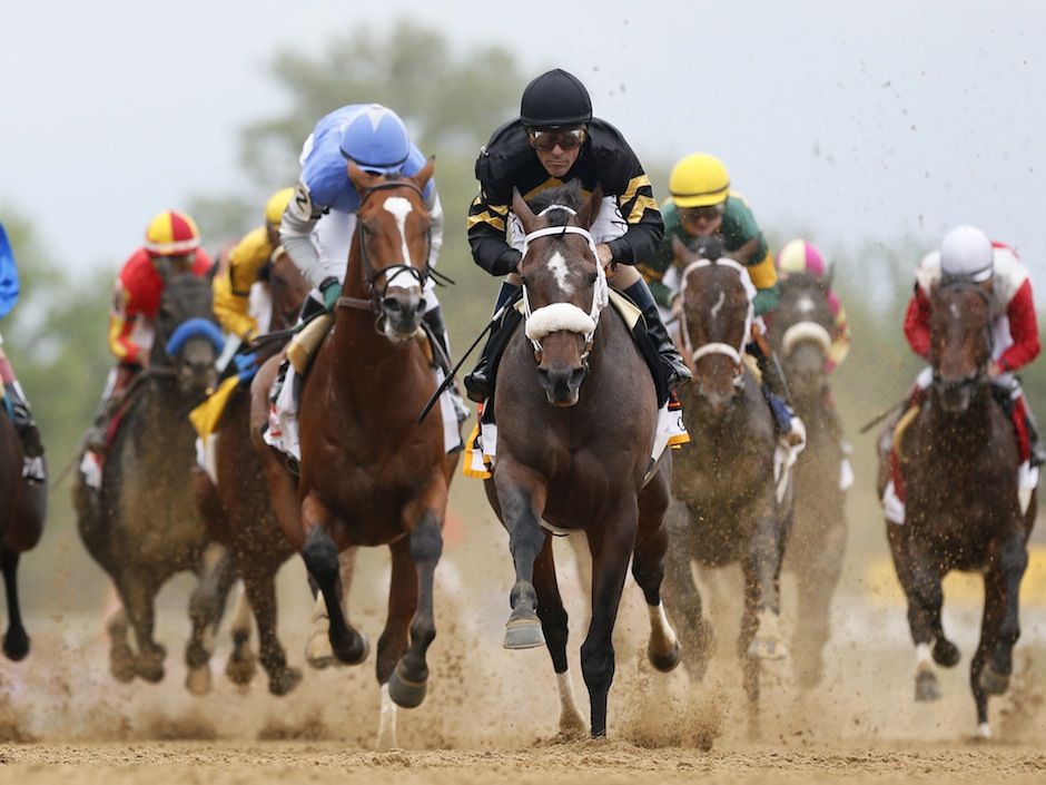 Oxbow upsets field in wire-to-wire Preakness win | National Post