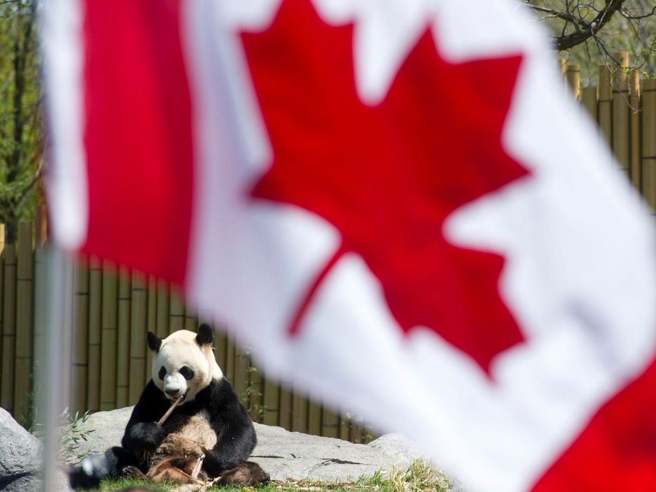 Canada Day 2013: What's open and what's closed around Toronto for the ...