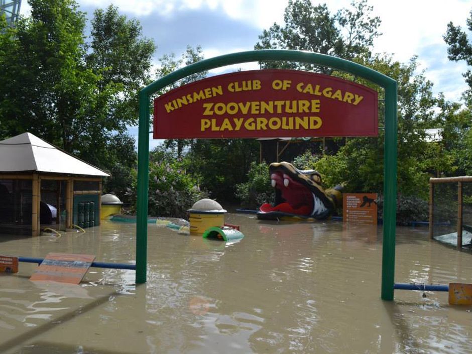 Calgary Zoo peacock, tilapia and piranhas didn’t survive floods, power ...