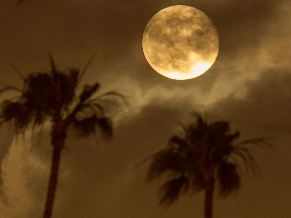Supermoon 2013: A look at some of the best photos | National Post