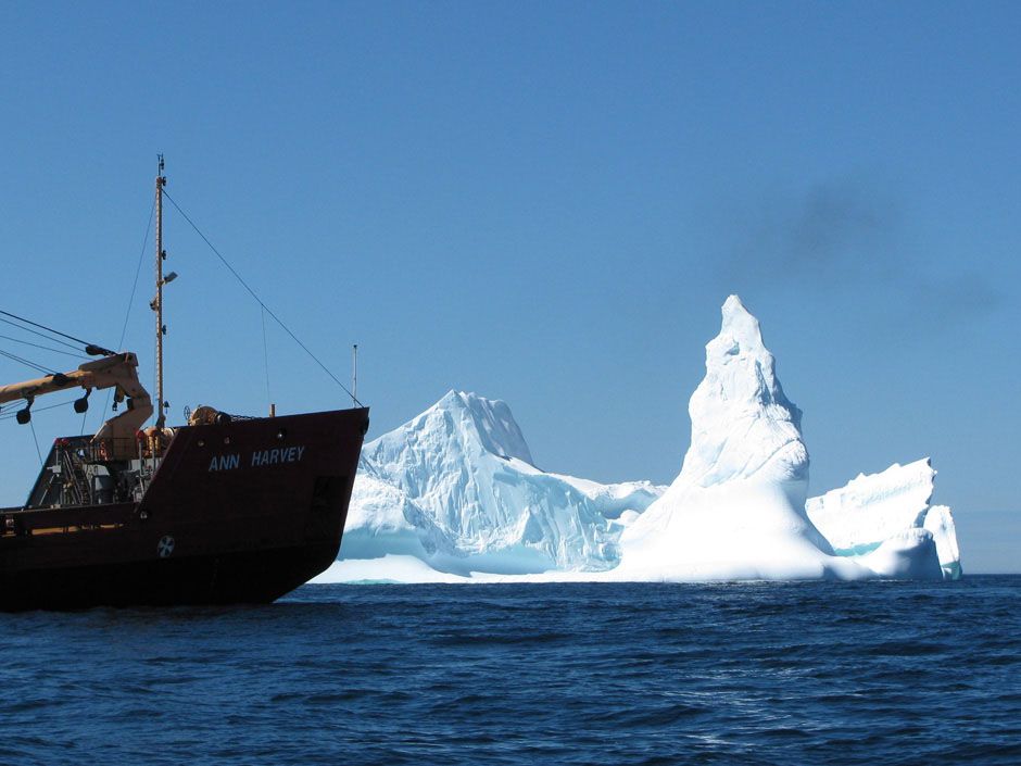 Labrador iceberg cluster biggest seen in years | National Post