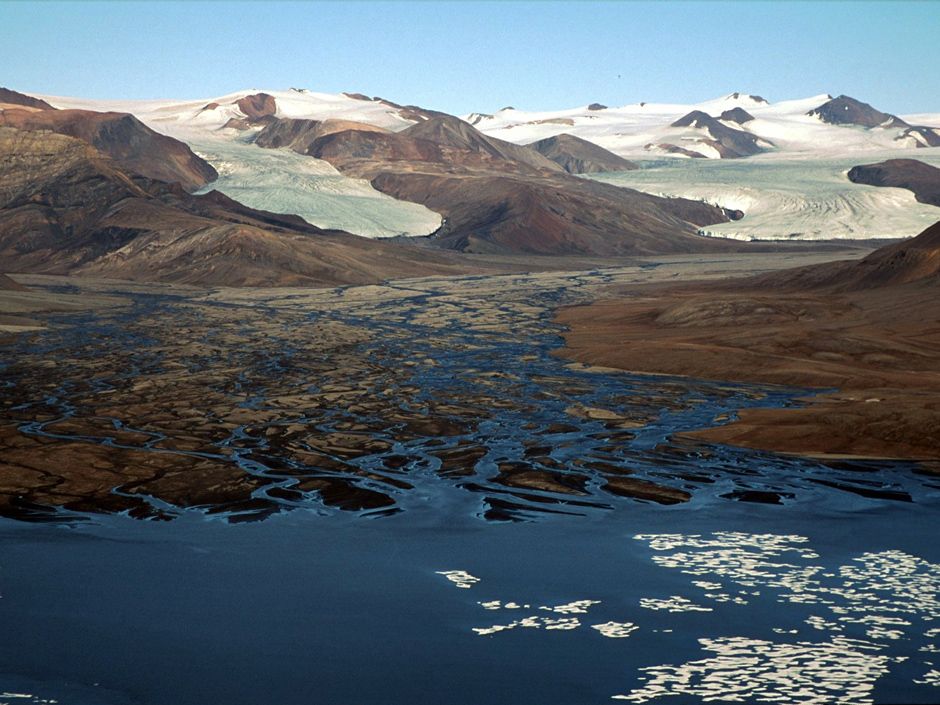 Increasingly likely 'Great Dying,' the worst extinction event in ...