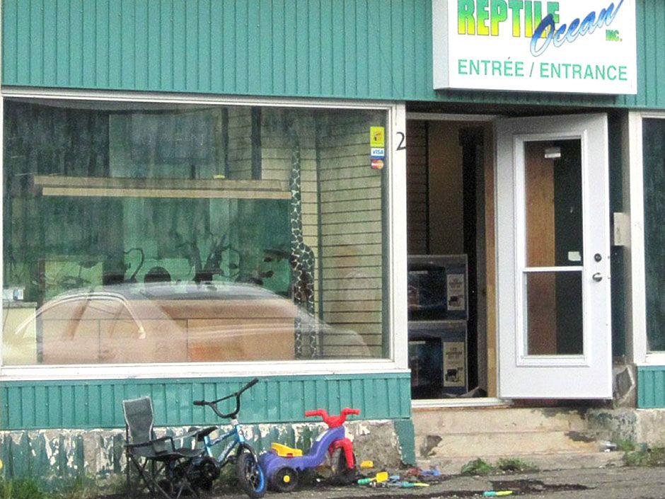 Snake owner charged in deaths of young New Brunswick brothers killed by ...