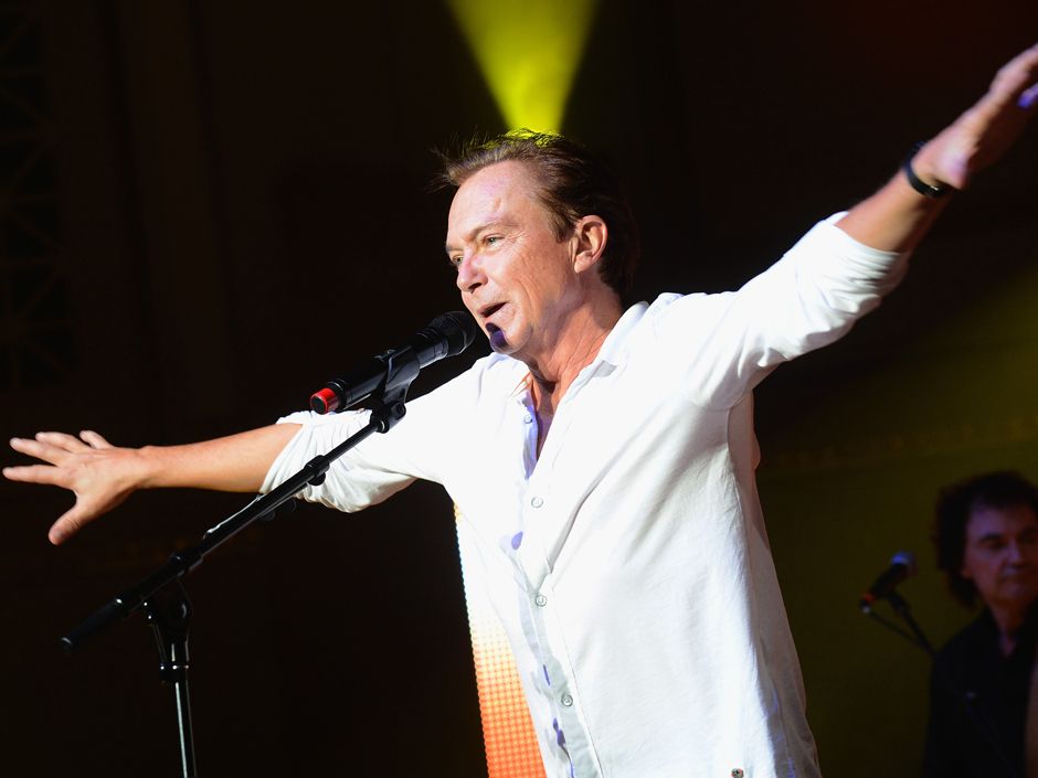 'Partridge Family' star David Cassidy charged with felony drunk driving ...