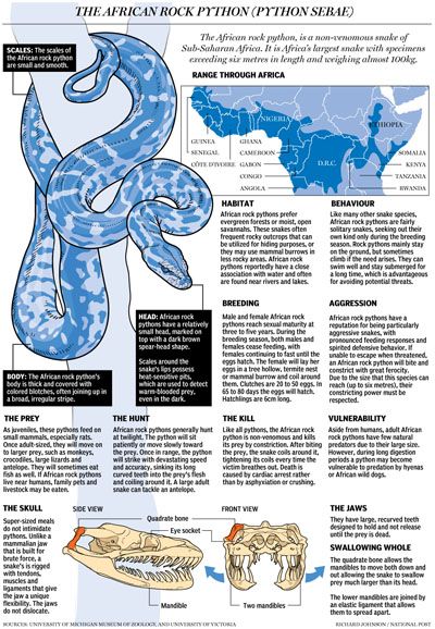 'Vicious' python kills two sleeping children, aged 5 and 7, after ...