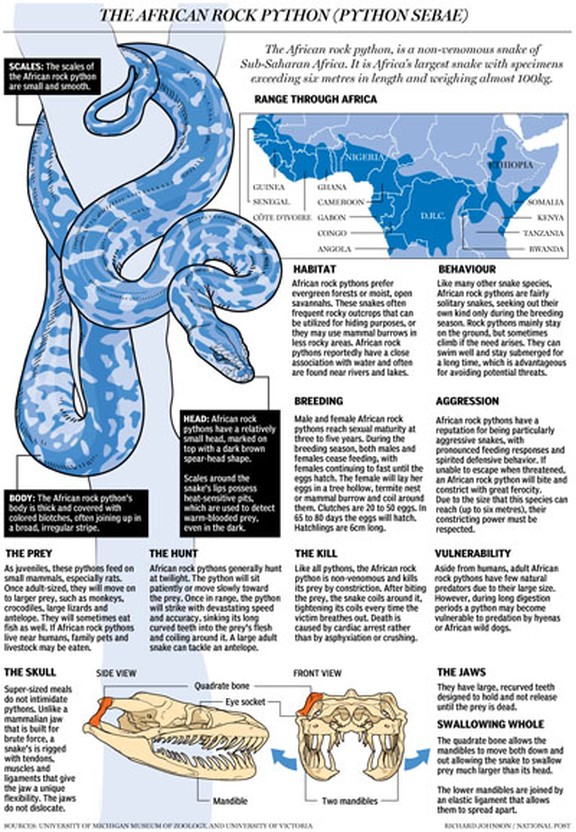 'Vicious' python kills two sleeping children, aged 5 and 7, after ...