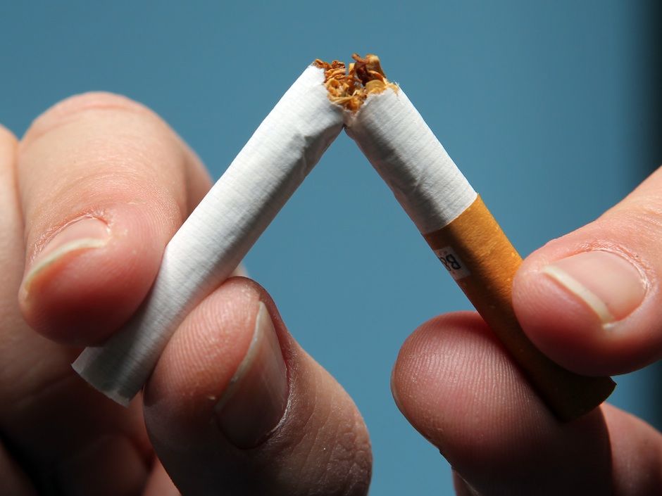 Weight gain in ex-smokers likely caused by changes in intestinal ...