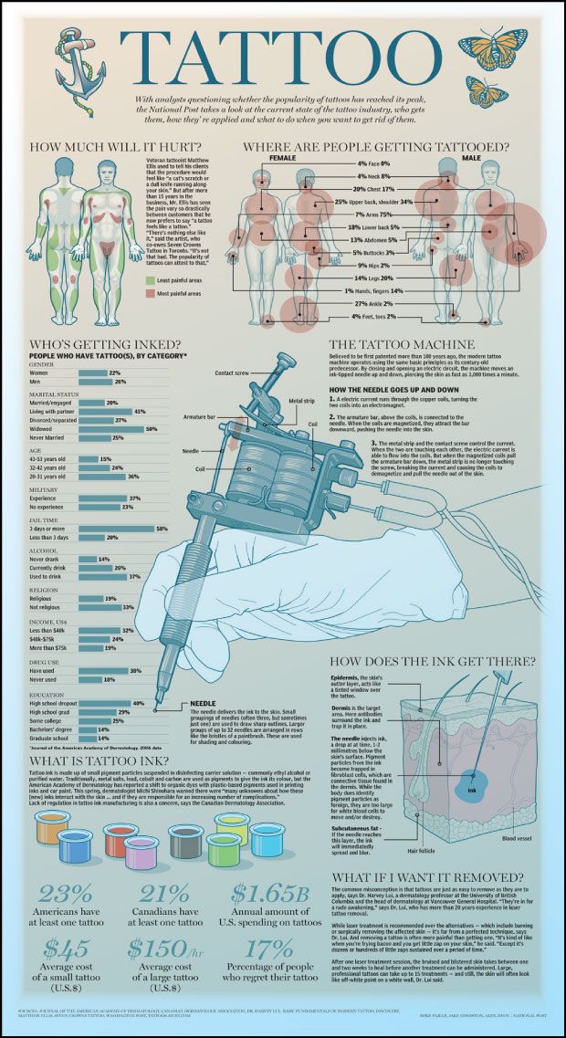 Graphic: The Tattoo Industry | National Post