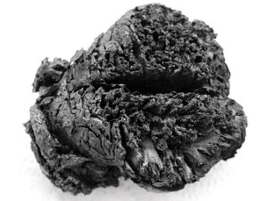 Scientists find intact, 4,000-year-old human brain that was boiled ...