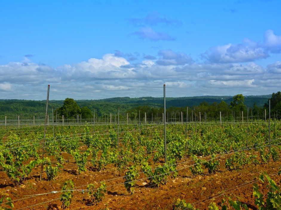 Forks & The Road: Sizzle and sophistication at Hockley Valley Resort ...