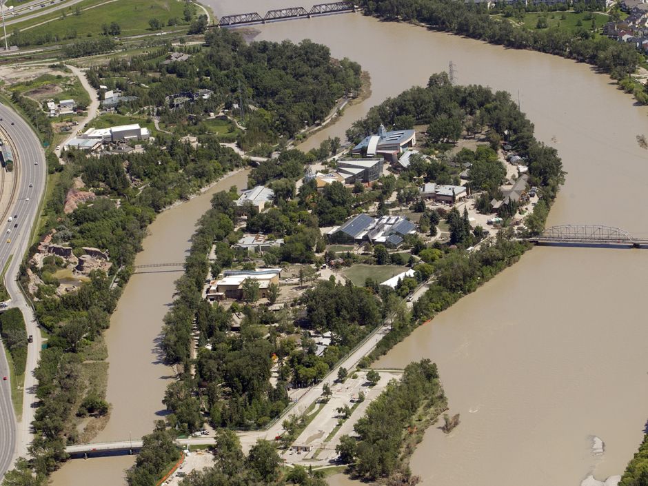 Calgary Zoo under fire for hosting auction to hunt African wildlife by ...