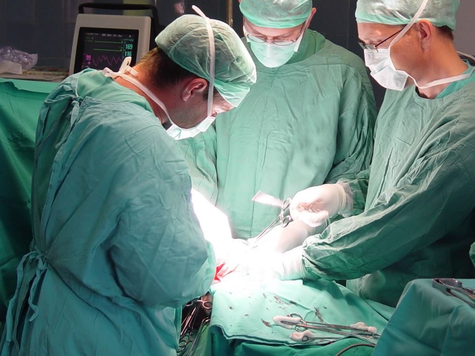 Robyn Urback: What Canada can learn from Israel on organ donation ...