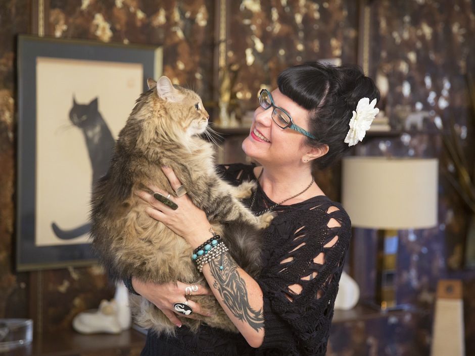 Feline design: Creating purrrfect products for the cat | National Post