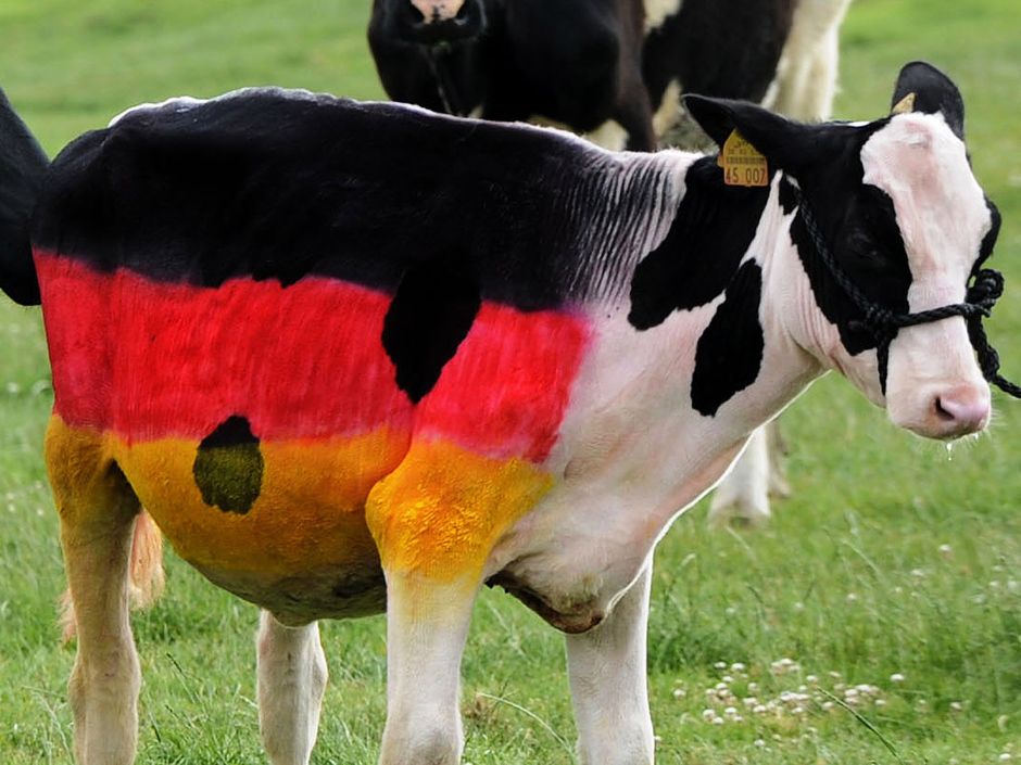 Explosion caused by cow farts literally blows the roof off barn in ...