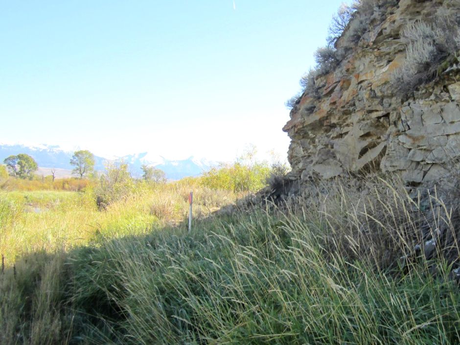 'The epic journey of our species': Ancient baby a direct ancestor of ...