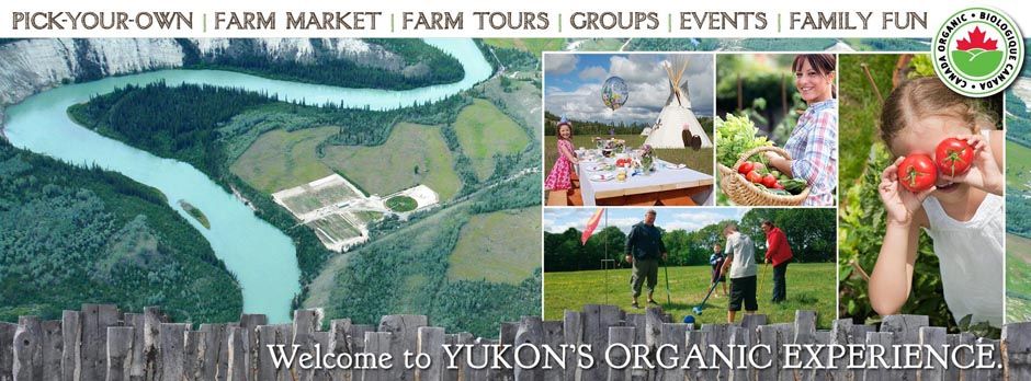 Canada’s last homesteaders: How determined pioneers turn the Yukon's ...