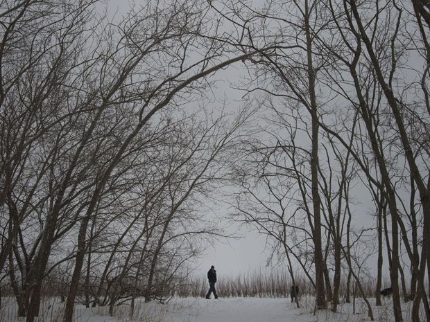 Toronto issues extreme cold weather alert as storm blasts Atlantic ...